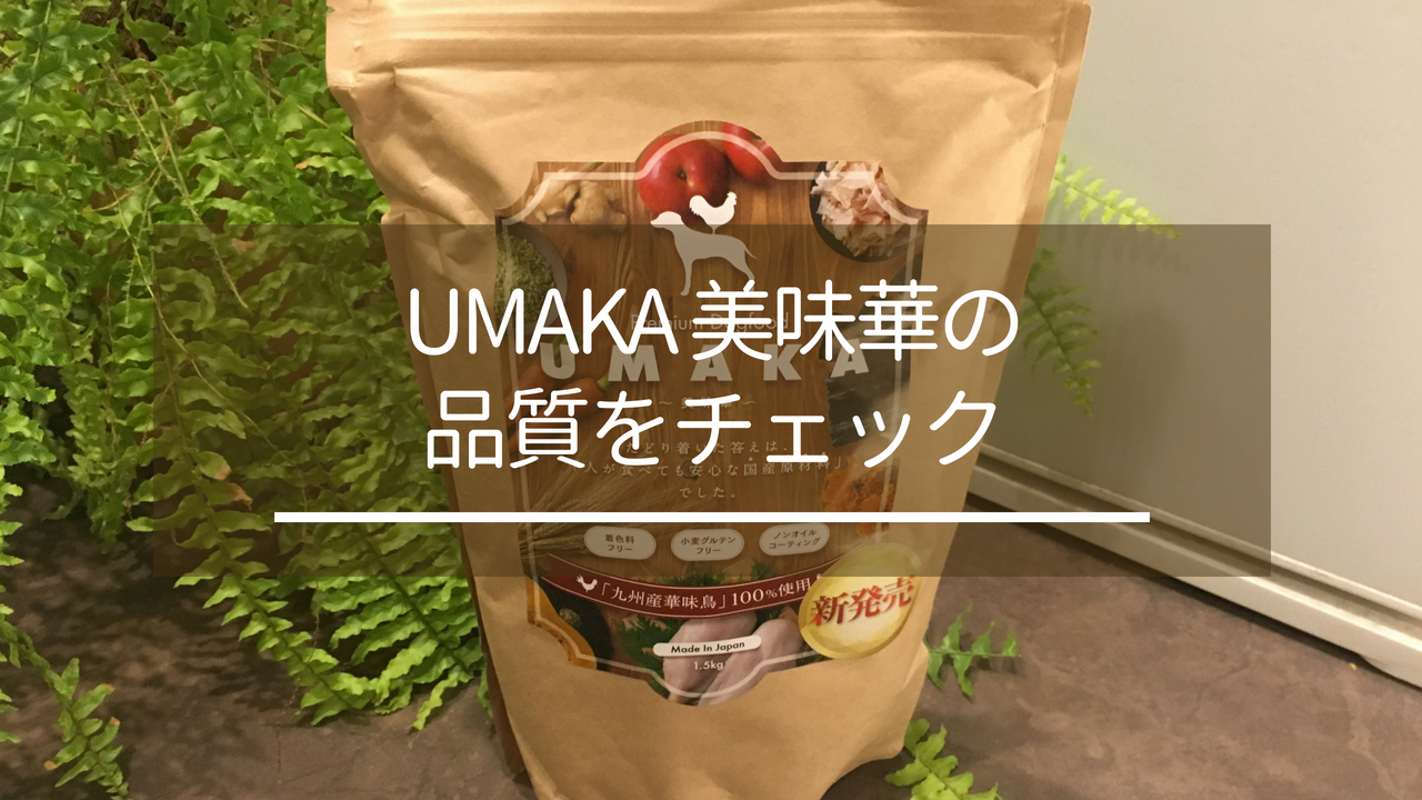 UMAKA（美味華：うまか）ドッグフードを調査！評判口コミと実食レポ | Myドッグフード